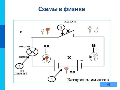 Графические информационные модели Моделирование и формализация