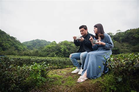 금속 도시락 상자가 있는 차밭 옆에서 점심을 먹는 젊은 파트너 2명에 대한 스톡 사진 및 기타 이미지 2명 Sable