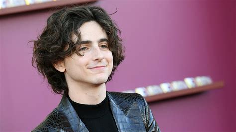Fakta Unik Timothée Chalamet Fans Power Rangers Yang Pernah Dikeluarkan Dari Kampus Citizen6