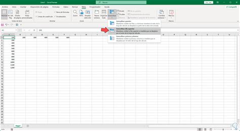 C Mo Fijar La Primera Fila O Columna En Excel Solvetic