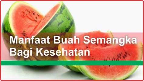 Manfaat Buah Semangka Bagi Kesehatan Goliketrik
