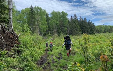 Ultimate Guide To Isle Royale Hiking Trails Wilderness