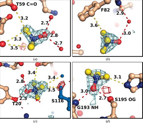 Examples Of Bound Tmao Molecules Red Oxygen Blue Nitrogen Yellow Download Scientific