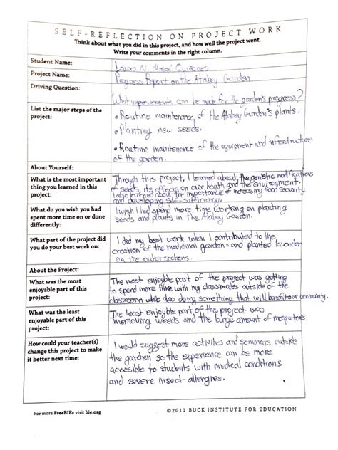 Self Reflection Pdf