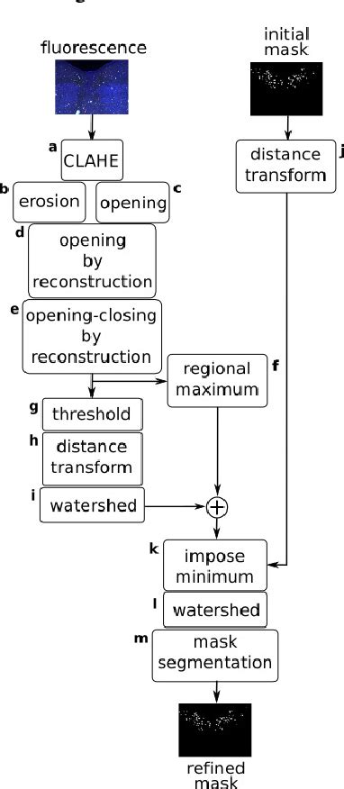 Figure 4 From Automating Cell Detection And Classification In Human Brain Fluorescent Microscopy