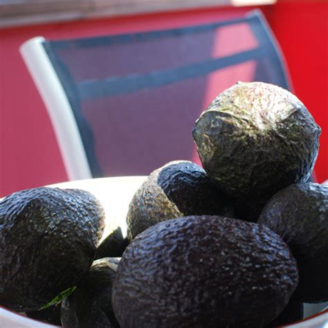 Wash Your Avocados Before You Eat Them