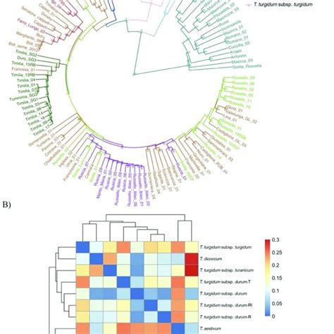 genetic diversity of 126 wheat genotypes analyzed in the 90k snp array