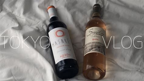 일본 도쿄 브이로그 일본인남자친구랑 기념일 데이트 뉴칸에서 비자갱신 연말 홈파티하는 직장인일상 도쿄vlog Youtube