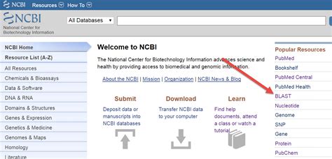 Using The Ncbi Blast Interface For Identifying Homologous Sequences In