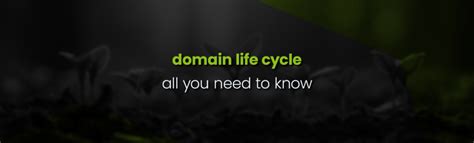 Understanding The Domain Life Cycle Key Stages Explained
