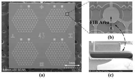 Micromachines Free Full Text Aluminum Nitride Piezoelectric Micromachined Ultrasound