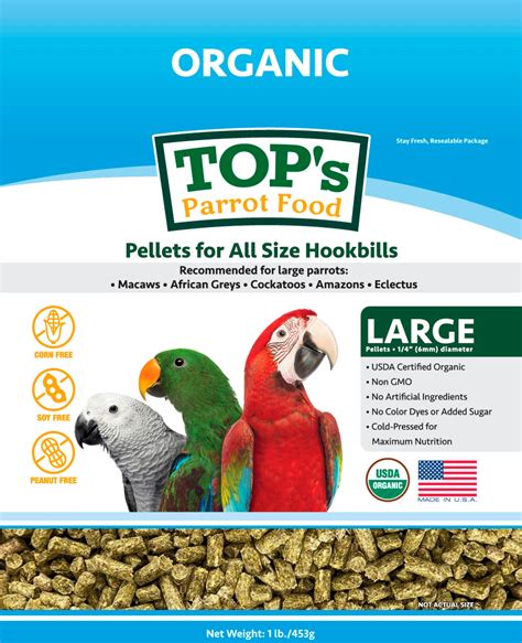 African Grey Parrot Food List Discounts Deals