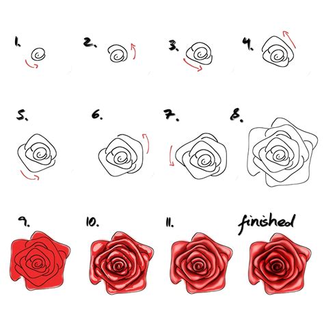How To Draw Roses Step By Step Rose Drawing Simple Ro