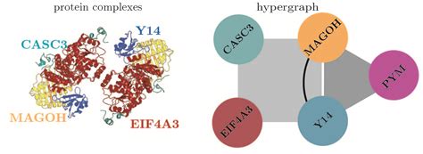 Florian Klimm Research