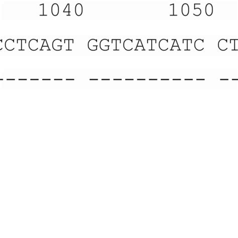 Alignment Of The Exon 7 Sequence Of The Novel Allele Kir3dl101507 With