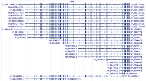 Dmd Genedystrophin Dmd Orf Clone Genscript