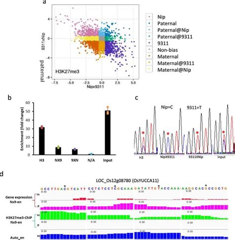 Chromatin Immunoprecipitation Assay With Anti Body Against H3k27me³