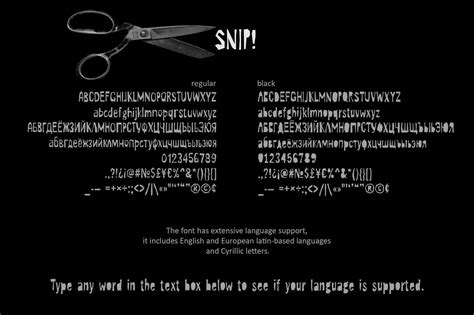 SNIP Font Family By Anmark TheHungryJPEG