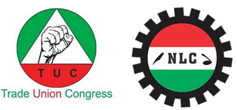 Investogist Nlc Tuc Declare Nationwide Indefinite Strike