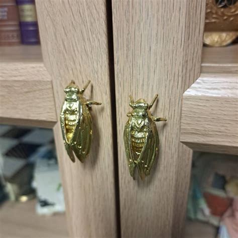 Genital Moldpenis Mold Silicone Cake Mold Ice Cube Pudding Mould Soap