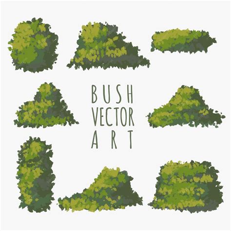 Buisson Dessin Vecteur Ensemble Arbre Illustration Vectorielle