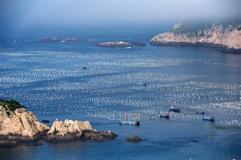 【海上牧场摄影图片】浙江舟山风光摄影太平洋电脑网摄影部落