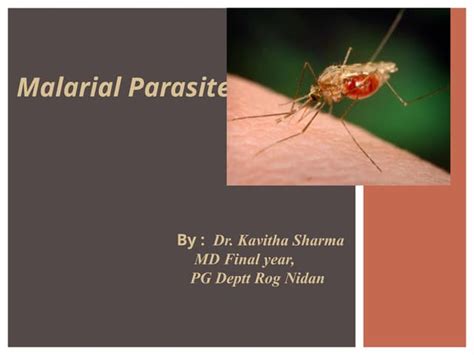 Malaria Pptpptx Ayurveda For Life Health Pptx