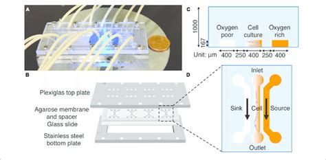 microfluidic setup and experimental design a a photograph of the