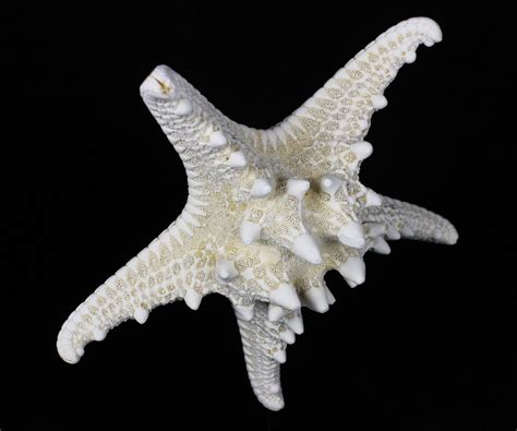 Shooting For Photogrammetry 8 Steps Instructables