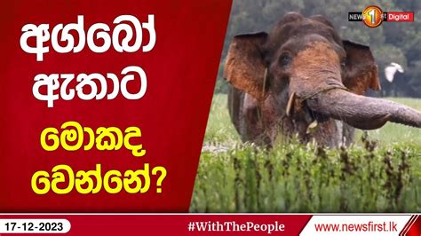 අග්බෝ ඇතාට මොකද වෙන්නේ Youtube