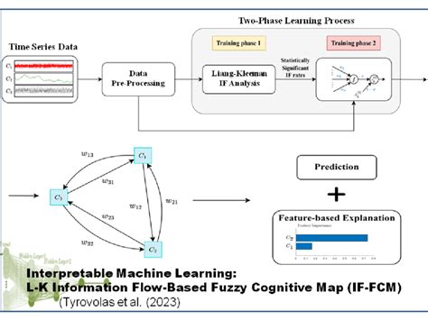 The Architecture Of A Causal Ai Algorithm Information Flow Based Fuzzy