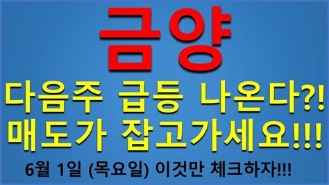 주식 주가전망 급등주 금양 금양주가전망금양전망금양분석금양목표가 Youtube