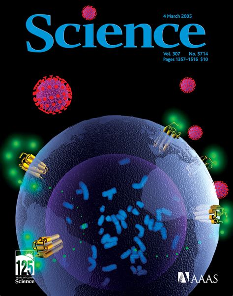 A Serpentinite Hosted Ecosystem The Lost City Hydrothermal Field Science