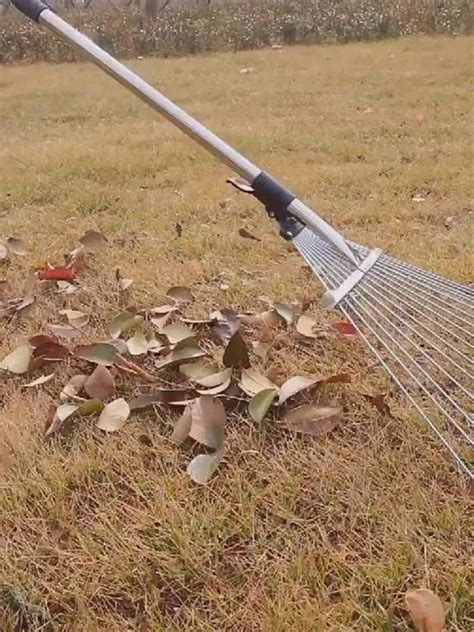 Stainless Steel Retractable Leaf Rake 15 Teeth Grass Rake Garden Wire
