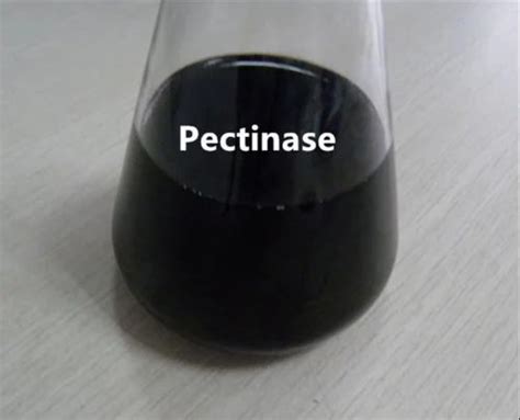 Pectinase Enzyme Liquid For Pectin Hydrolysis Packaging Size 25 At