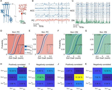 Correlated Signatures Of Social Behavior In Cerebellum And Anterior
