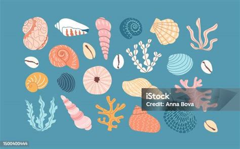 조개껍데기 산호 조류가 파란 배경에 있다 손으로 그린 다채로운 그림 벡터 해저 세트입니다 플랫 만화 스타일 여름 휴가 컬렉션 열대 해변 조개 가리비에 대한 스톡 벡터 아트