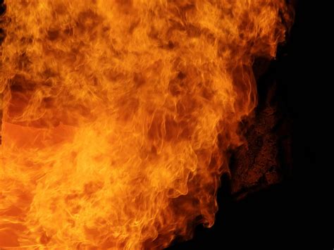 Nexusgrid Coin Decentralized Energy Grid Management And Distribution