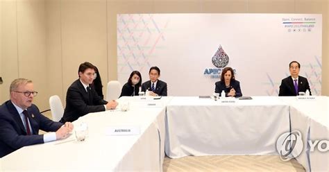 6개국 긴급회동 참석한 한덕수 총리