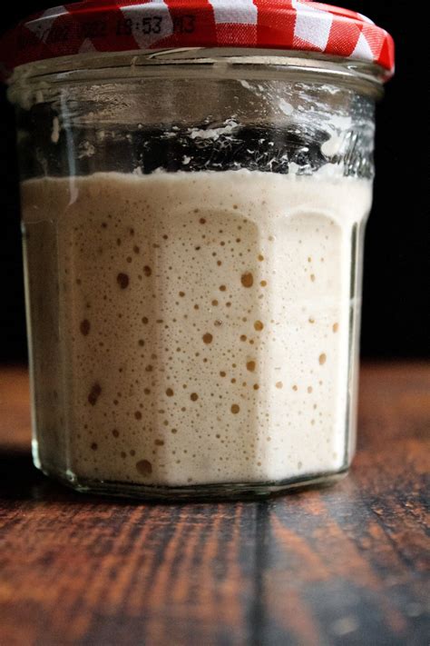 Creating A Sourdough Starter Artofit