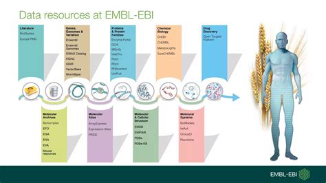 Advanced Bioinformatics For Genomics And Biodata Driven Research Ppt