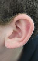 Science HUMAN EAR