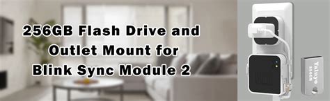 256gb Usb Flash Drive And Blink Sync Module 2 Mount Save Space And Easy Mount