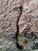 Crack Detection Using Instance Segmentation In YOLOv8 Instance