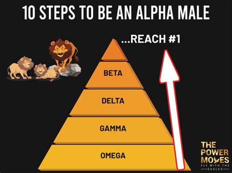 How To Be An Alpha Male In 10 Simple Steps The Power Moves