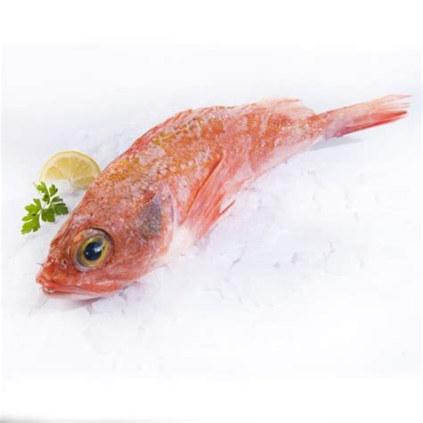 Pescado Blanco E Leclerc Pamplona