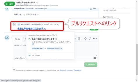 Github Issue It