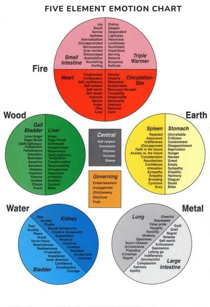 More About Holistic Kinesiology