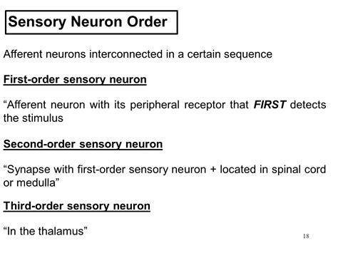 Neurophysiology Ppt Download