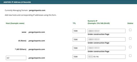 HowTo Configure Network Solutions DNS For GSLB On Citrix ADC NetScaler
